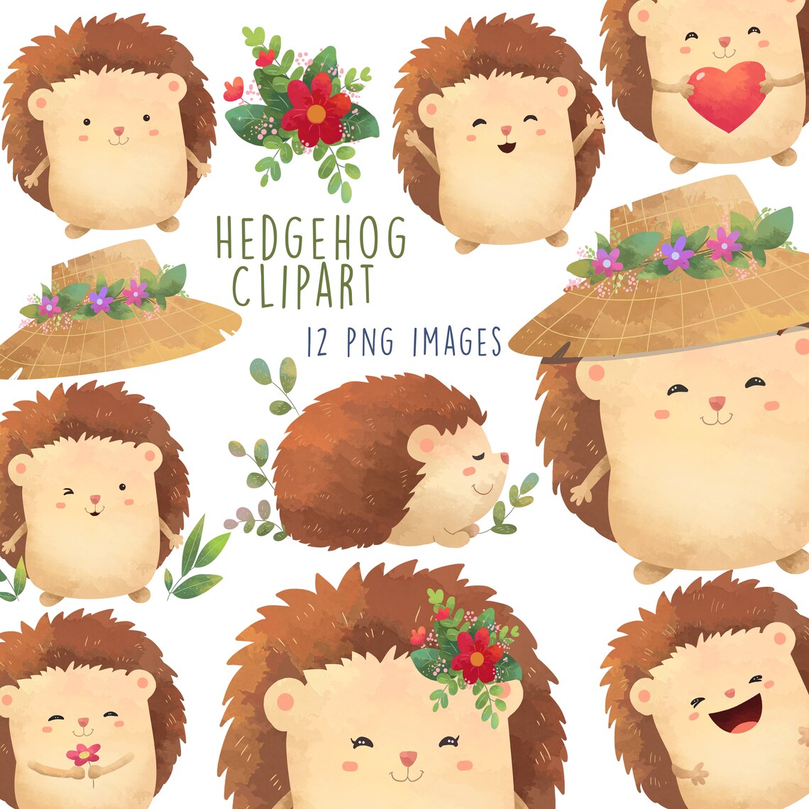 Watercolor Hedgehog Clipart, Cute Hedgehogs Clipart, Hedgehog Png, Baby ...