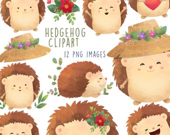 Watercolor Hedgehog Clipart Cute Baby Hedgehogs Hedgehog PNG - Etsy