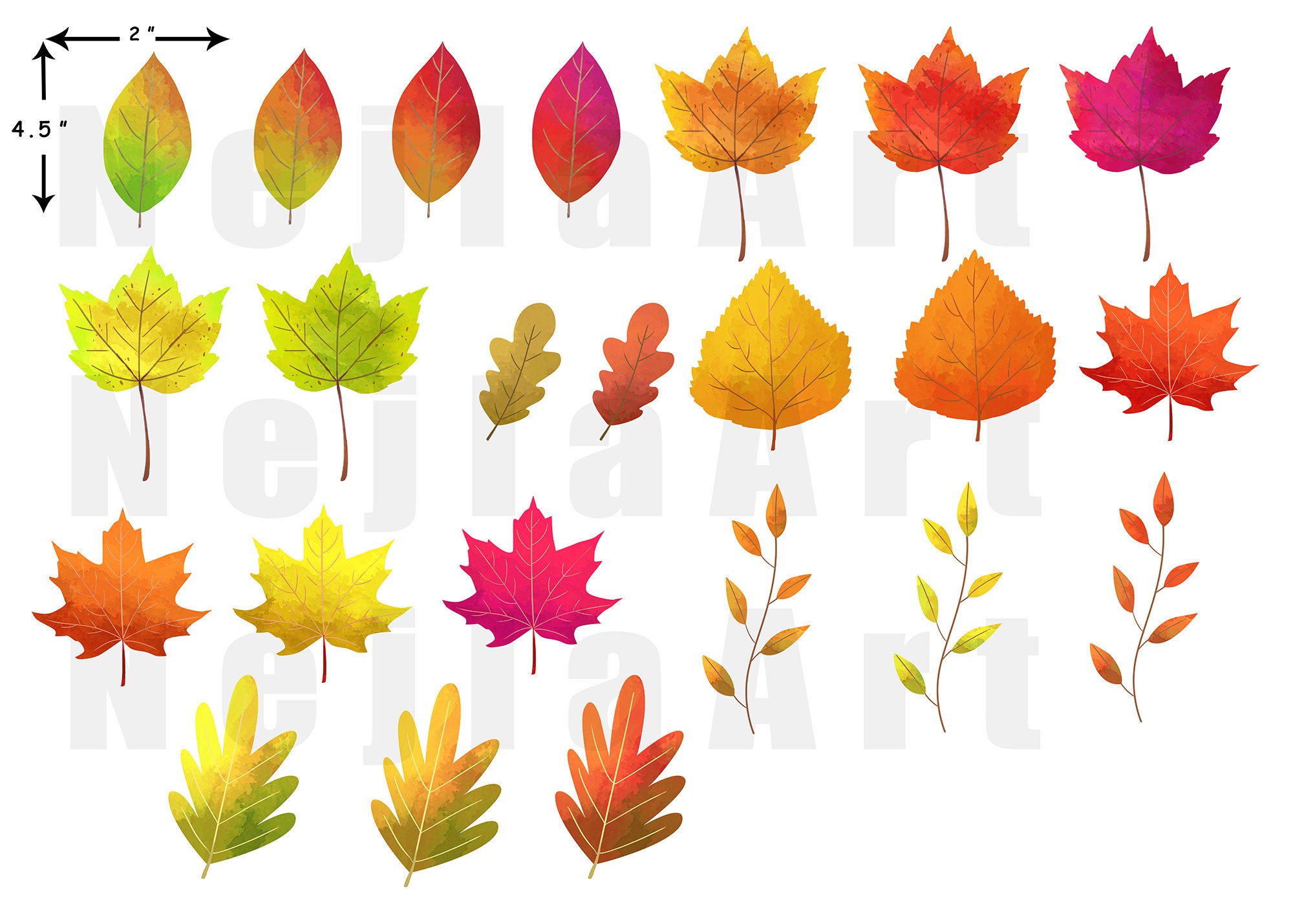 Autumn Leaves Clipart, Watercolor Leaves Clipart, Fall Leaves Clipart ...