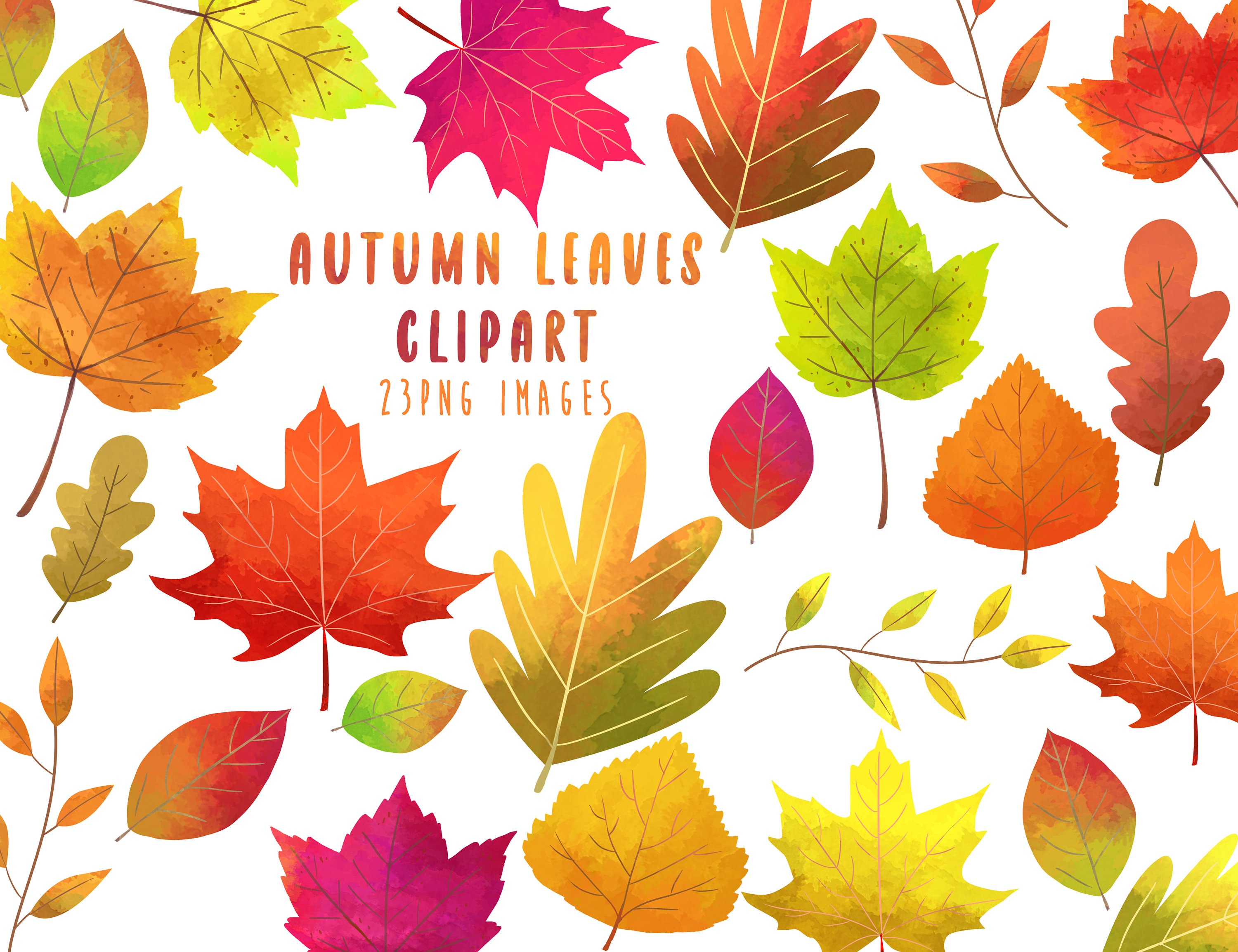 Autumn Leaves Clipart, Watercolor Leaves Clipart, Fall Leaves Clipart ...