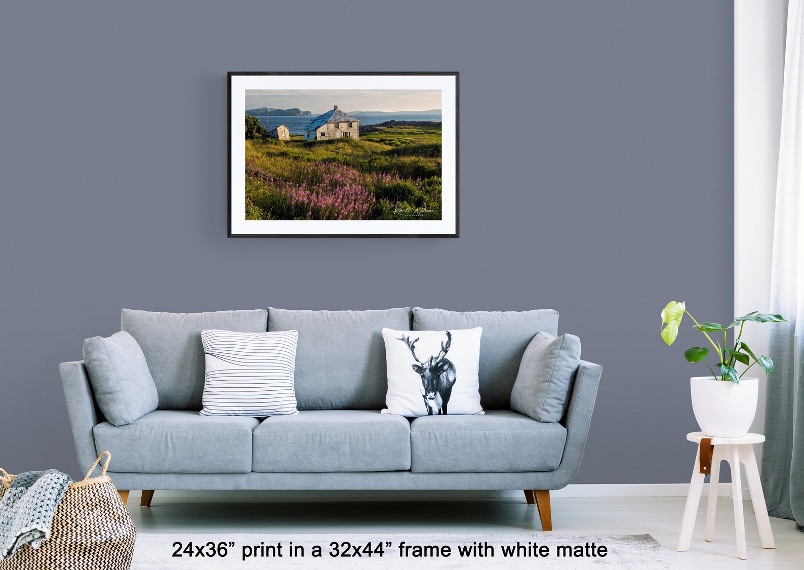 Abandoned House in Open Hall, Newfoundland - Etsy