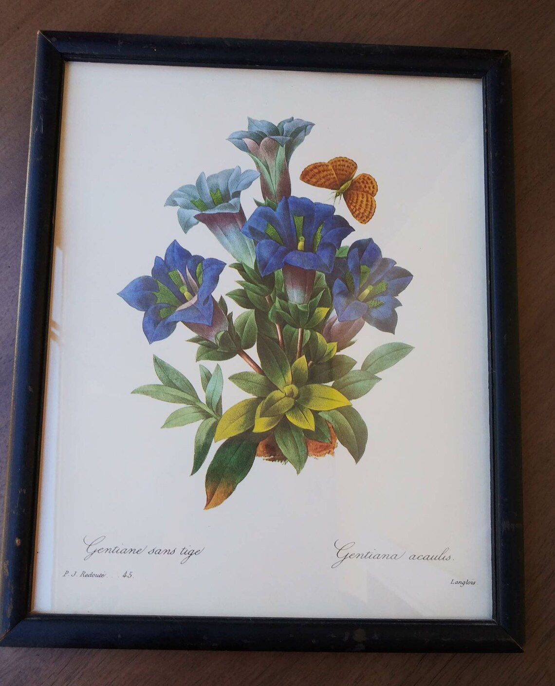 Vintage Botanical P J Redoute Framed Painting Print Framed Set - Etsy