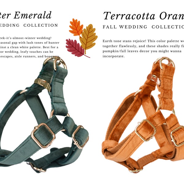 Wedding Dog Harness - Etsy