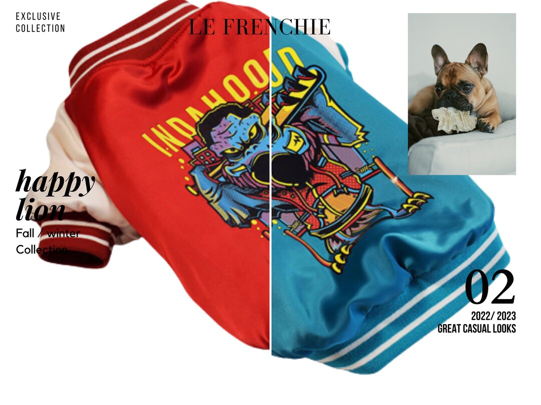 French Bulldog Winter Jacket Waterproof Bomber Jacket the Frenchie ...