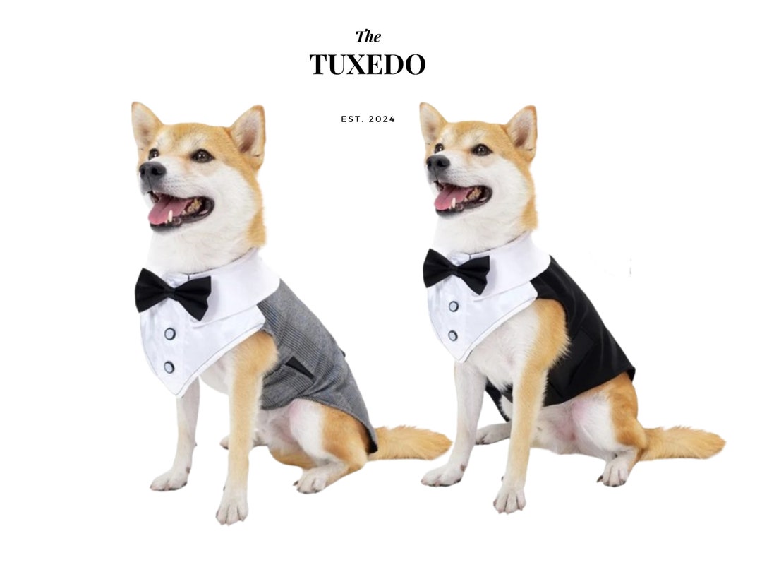 Dog Wedding Tuxedo, Black Tuxedo With White Collar, Grey Tuxedo, Large ...