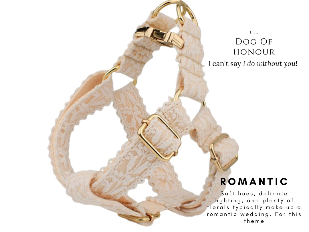 Personalised Dog Wedding Harness and Lead Set White Lace and Gold ...