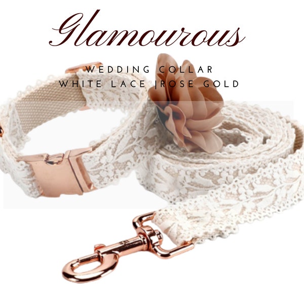 Dog Wedding Collar - Etsy