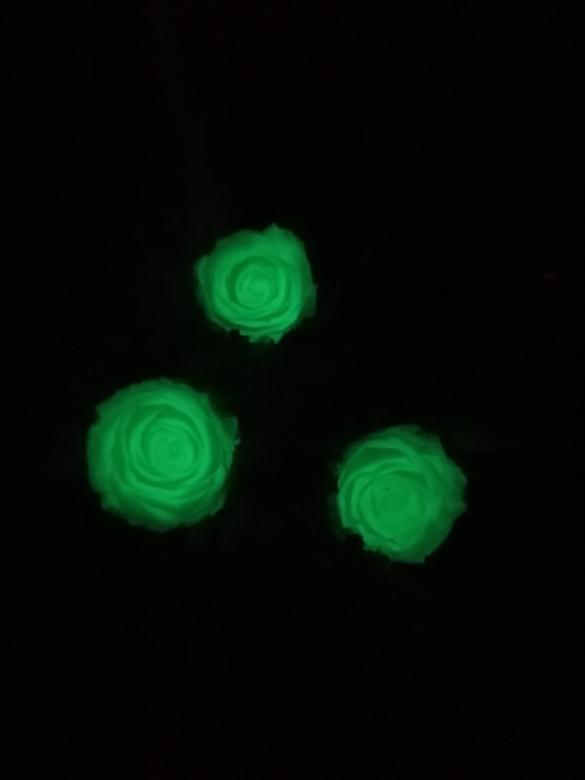 Phosphorescent Pink GLOW Bouquet, Dried Flower Bouquet - Etsy