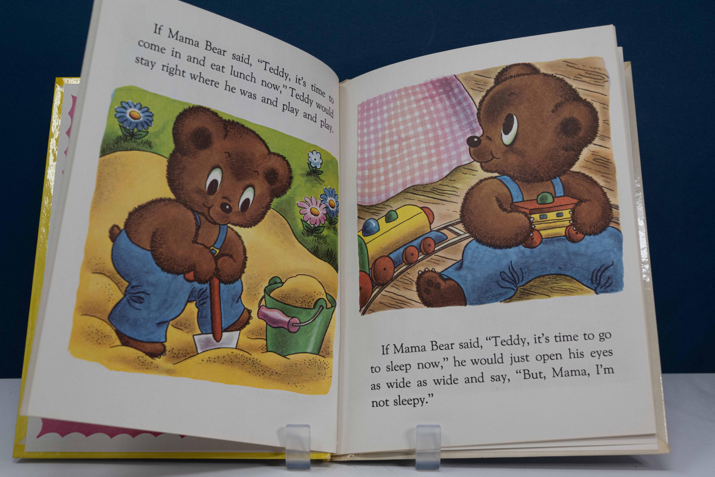 Vintage Teddy Bear of Bumpkin Hollow A Rand Mcnally Book by Sharon ...