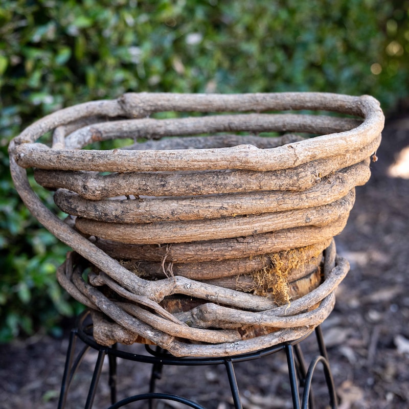 Coil Pot - Etsy