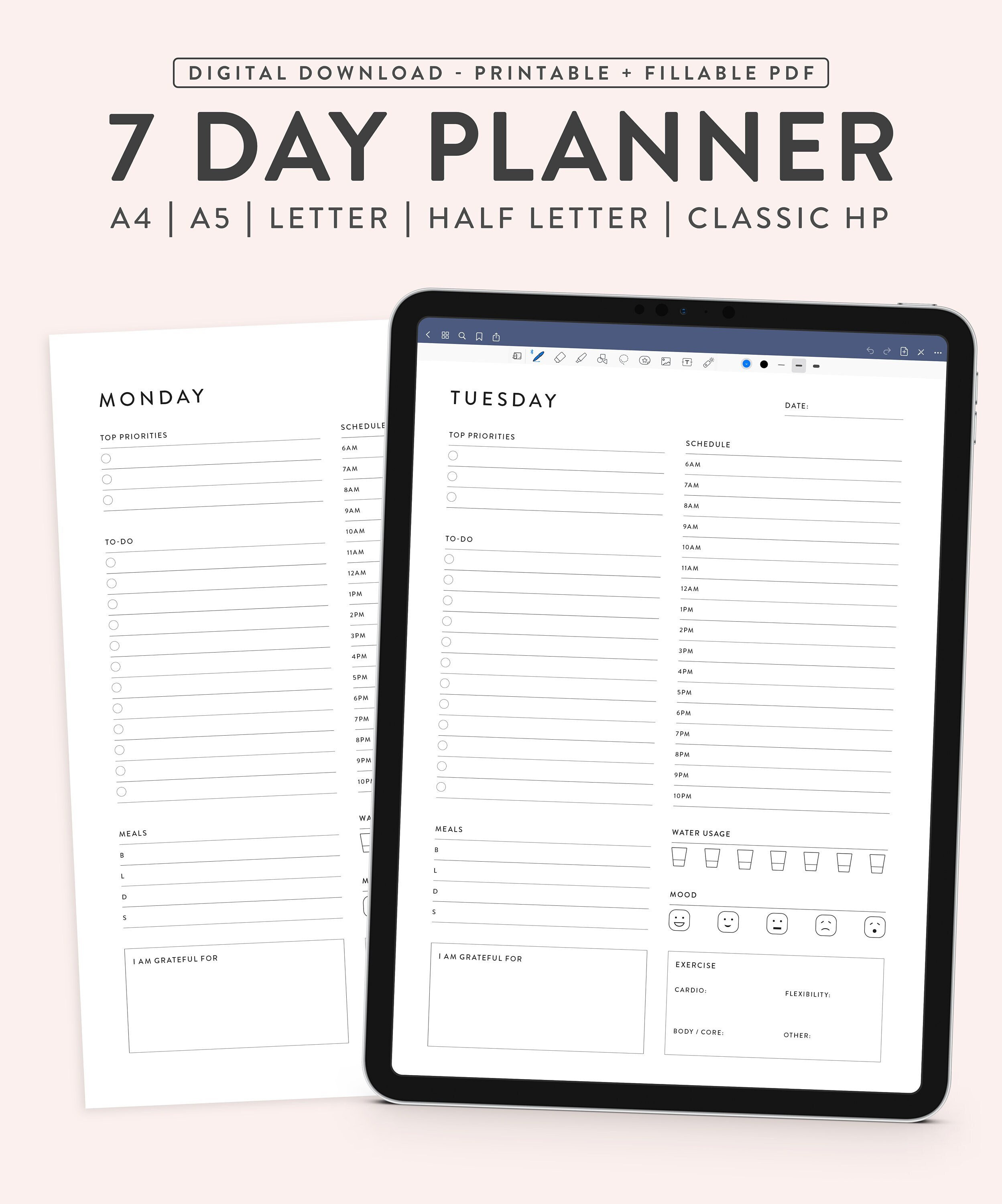 Printable 7-day Planner, Fillable Daily Planner, Schedule, Mood and ...