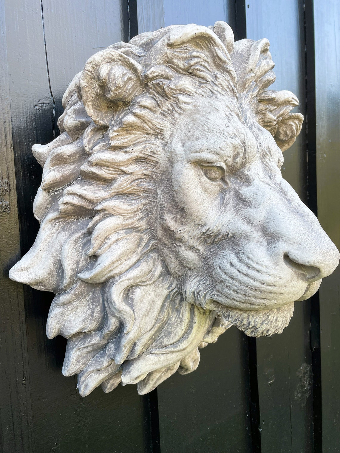 Large Lion Head - Wall Mounted - Etsy