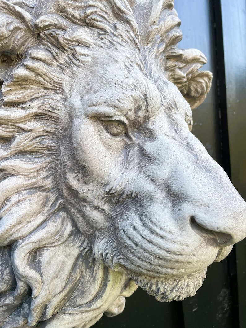Large Lion Head - Wall Mounted - Etsy