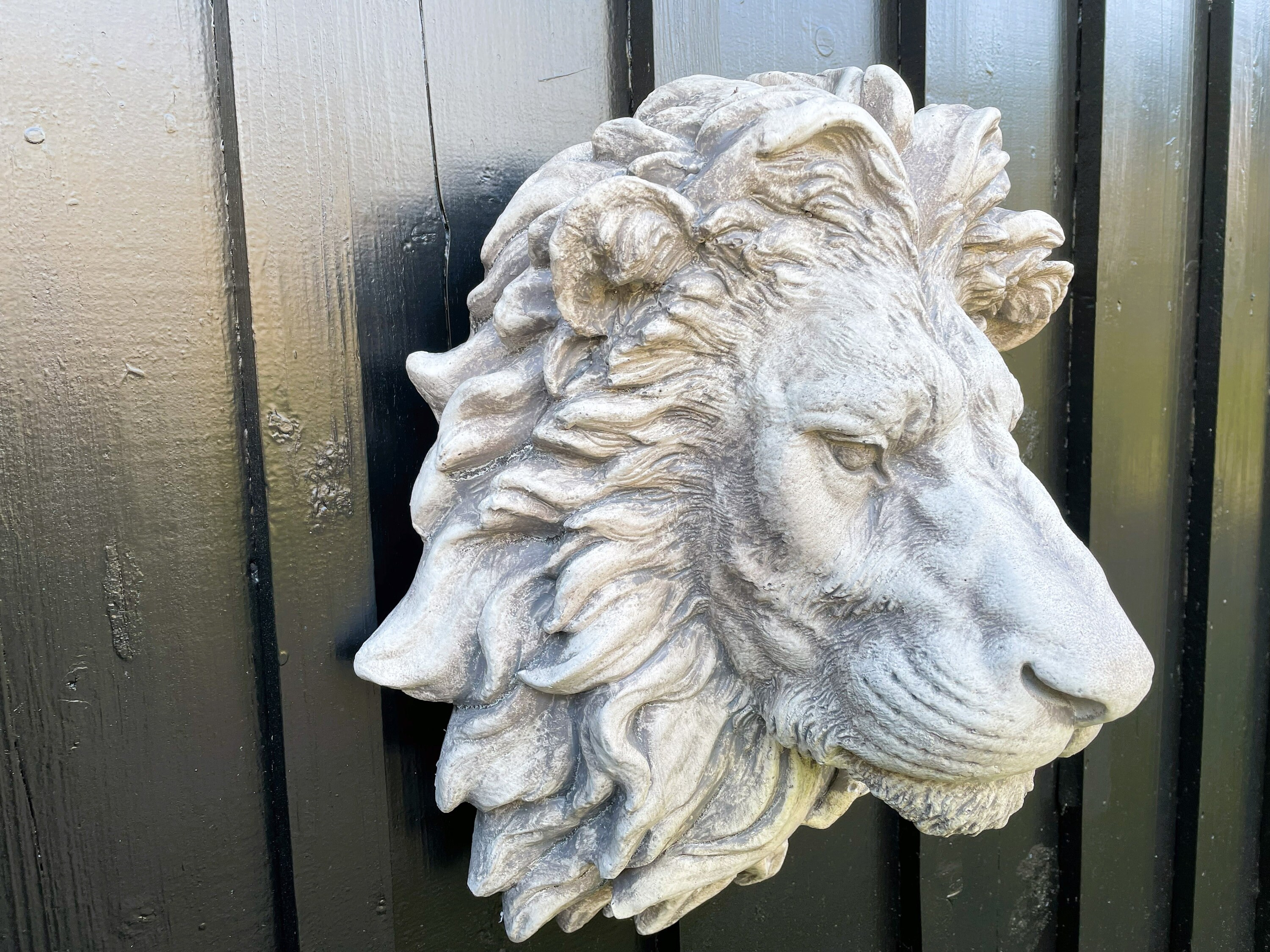 Large Lion Head - Wall Mounted - Etsy