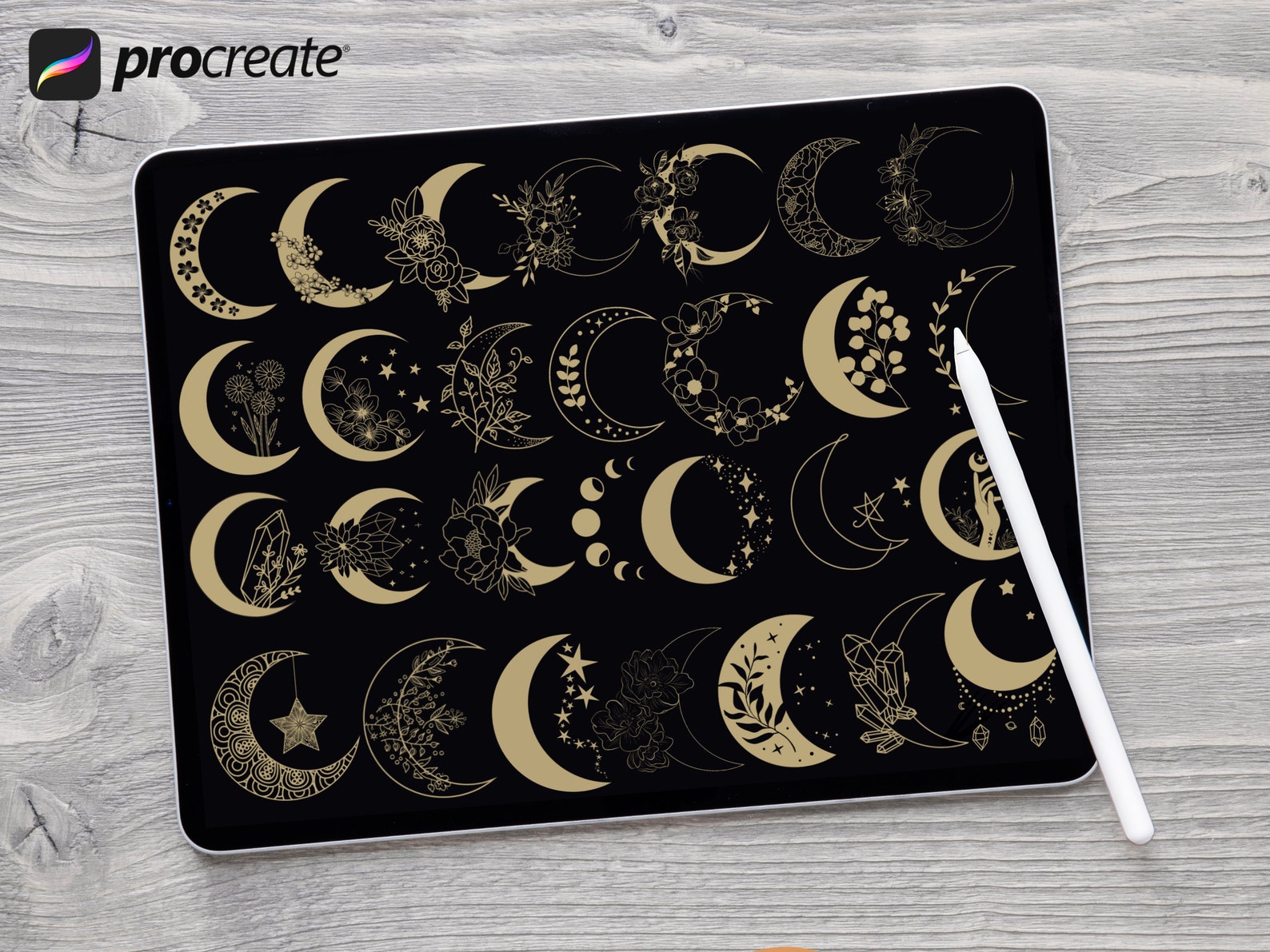 30 Procreate Moon Stamps Procreate Celestial Stamps Moons Procreate ...