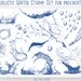 Realistic Water Splash Procreate Stamps & Brushes | Digital Liquid ...