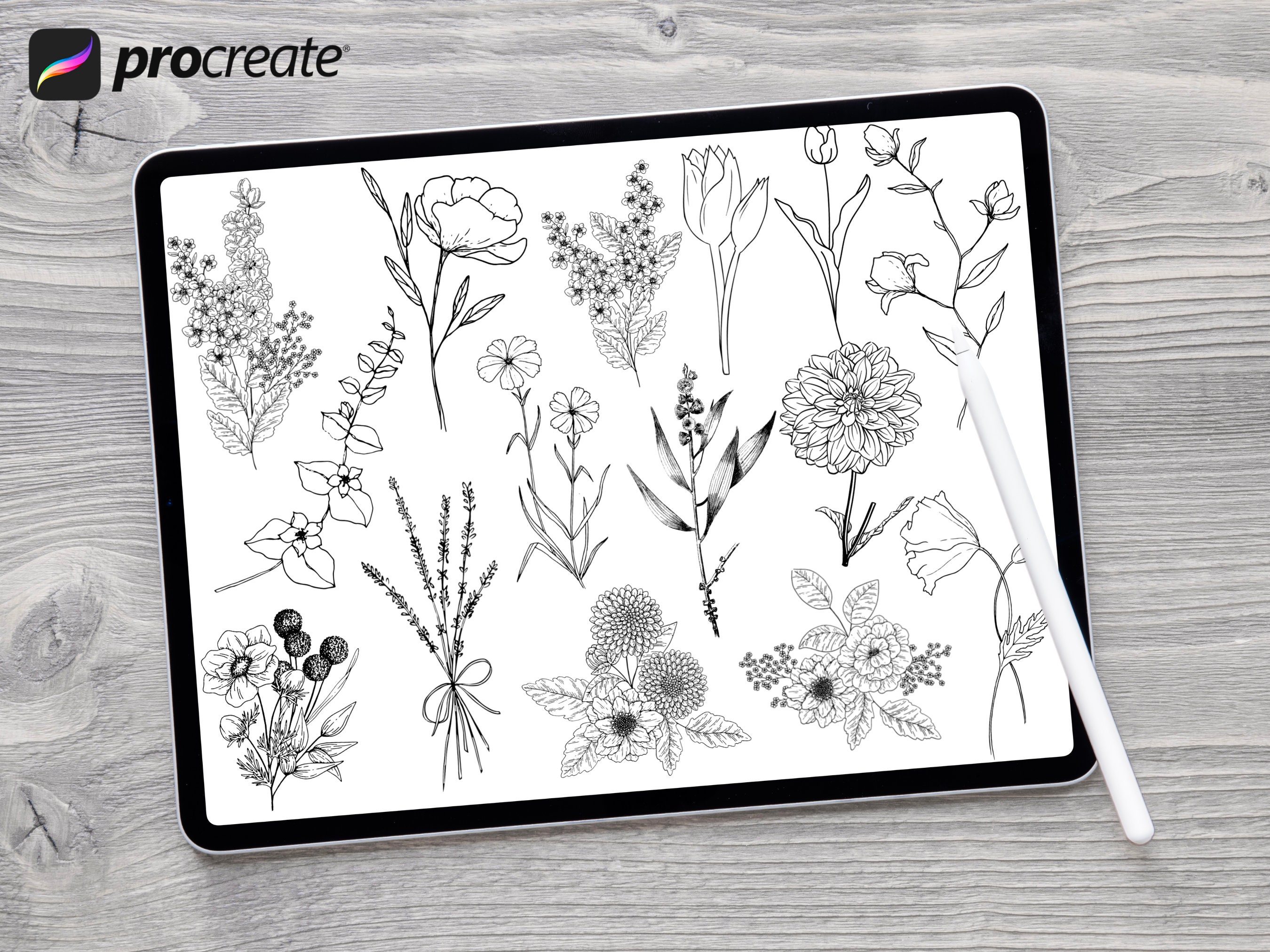 Wildflower Procreate Stamps Floral Procreate Brushes - Etsy