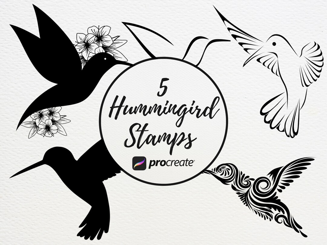 Hummingbird Digital Art Kit: Procreate Stamps, Brushes & Clipart for ...