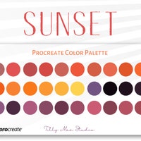 Winter Sunset Procreate Color Palette - Etsy