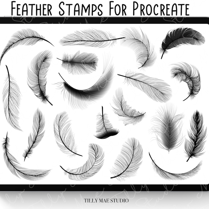 Feather Stamp - Etsy