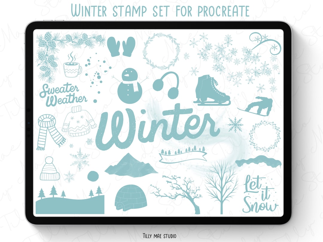 Winter Wonderland Procreate Stamps: Snow, Snowman & Snowflake Brushes ...