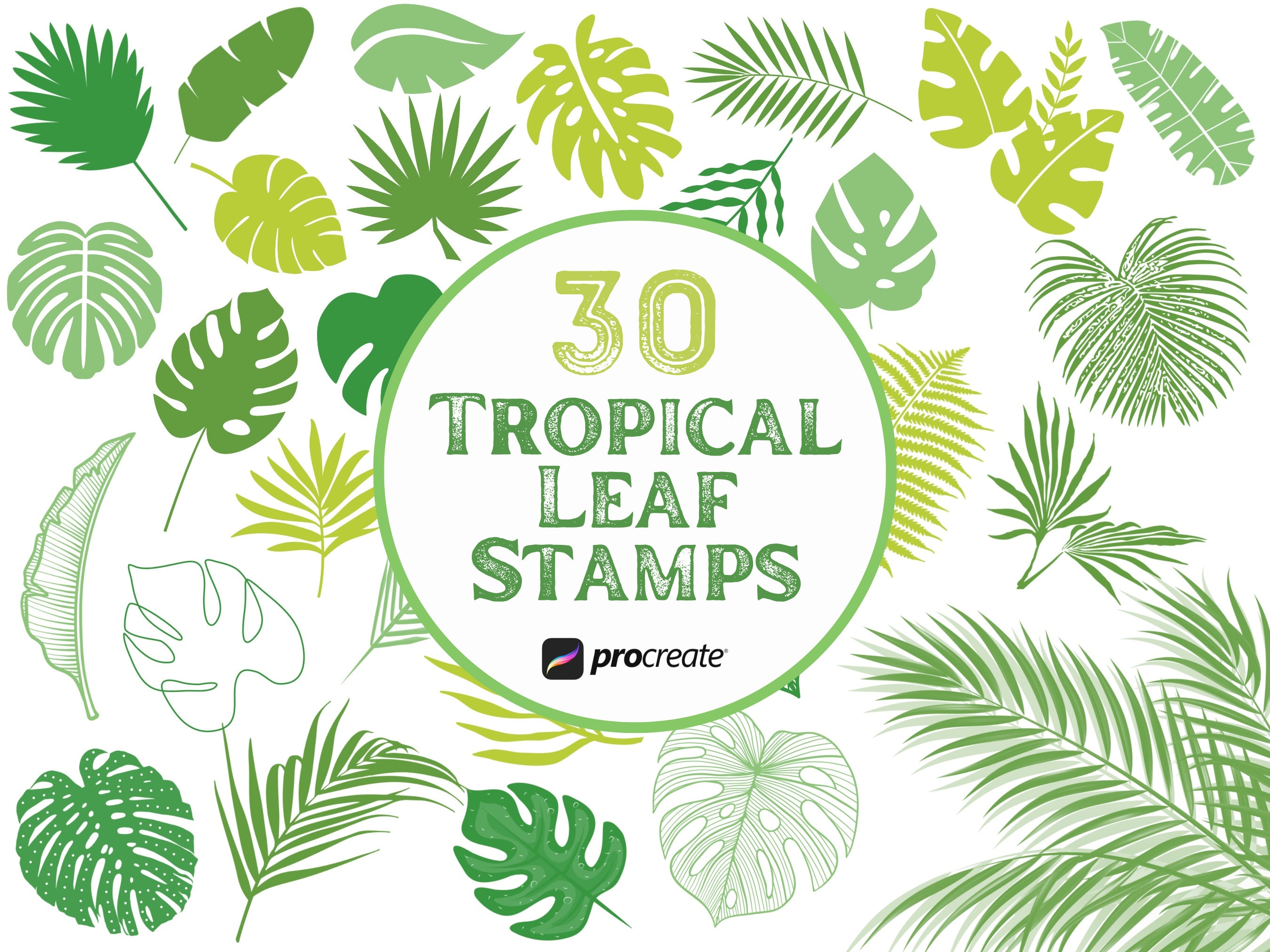 30 Tropical Leaves Procreate Stamps Procreate Tropical Leaf Stamps ...