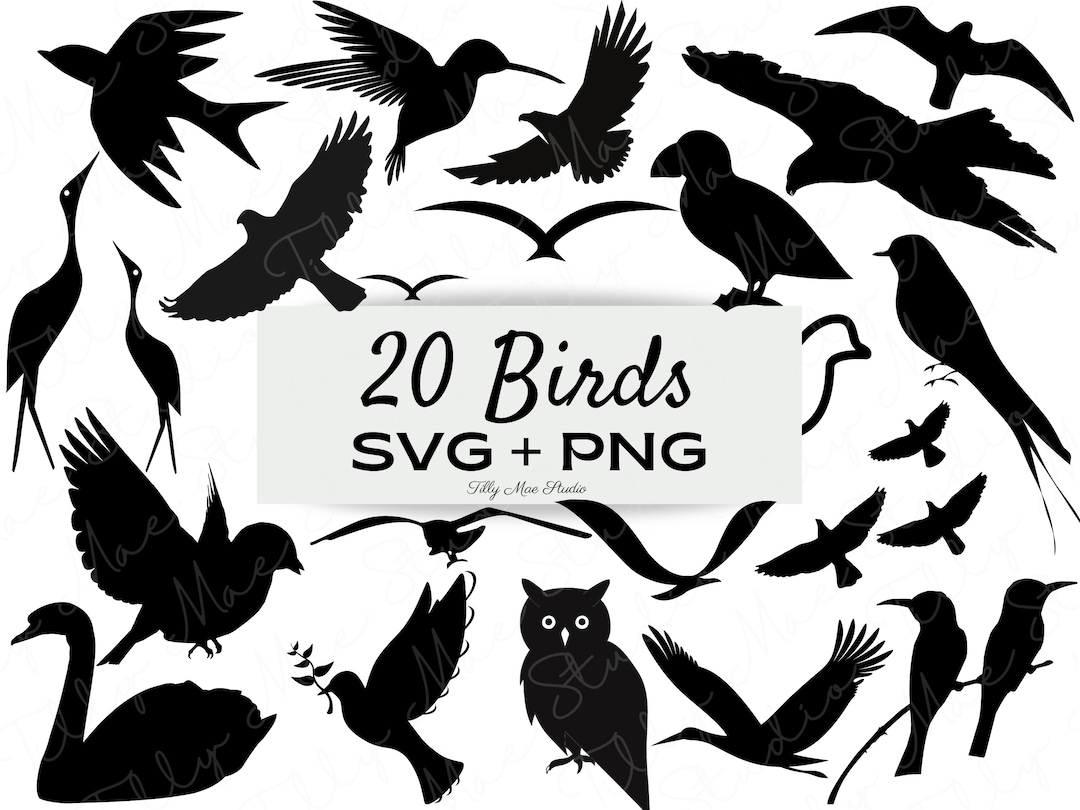 Bird SVG Files for Cricut Bundle - Birds Clipart - Bird Svg - Nature ...