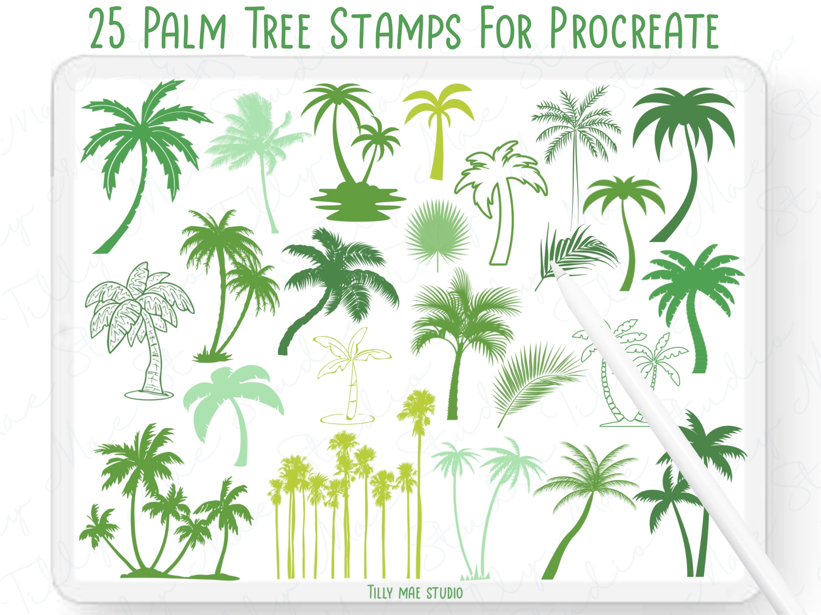 Procreate Palm Tree Stamps Tropical Procreate Brushes Palm Tree ...