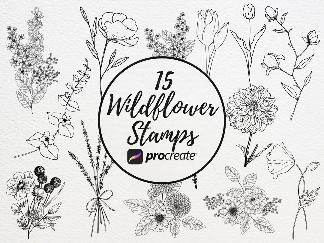 Wildflower Procreate Stamps | Floral Procreate Brushes | Procreate ...