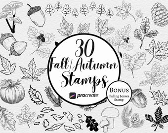 60 Procreate Stamp Set FALL Procreate Leaf Stamps Procreate Brushes Autumn Procreate Stamps Fall ...