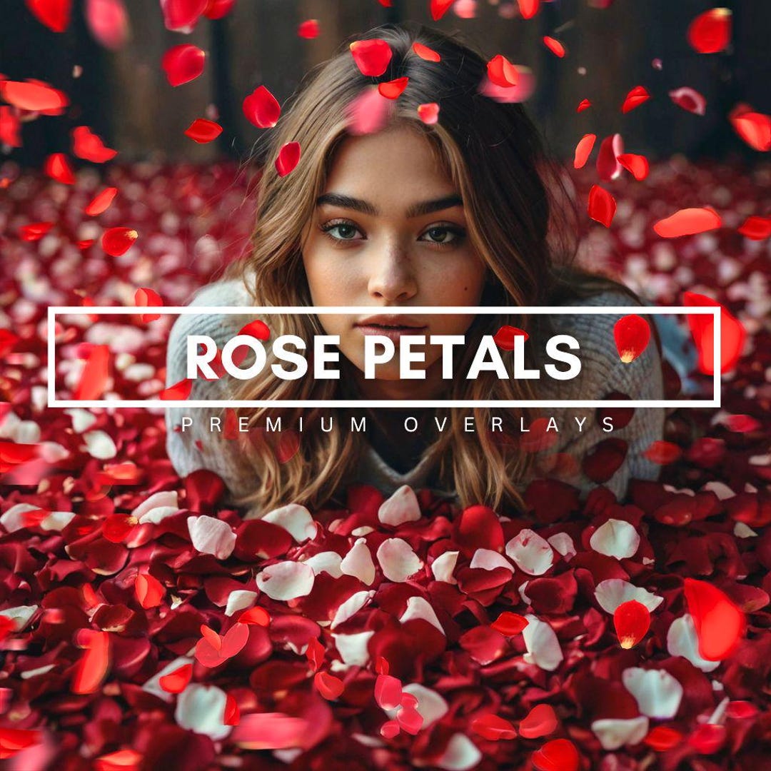 Rose Petals Overlays 20 Pack - Romantic Falling Petals, Floral PNG ...