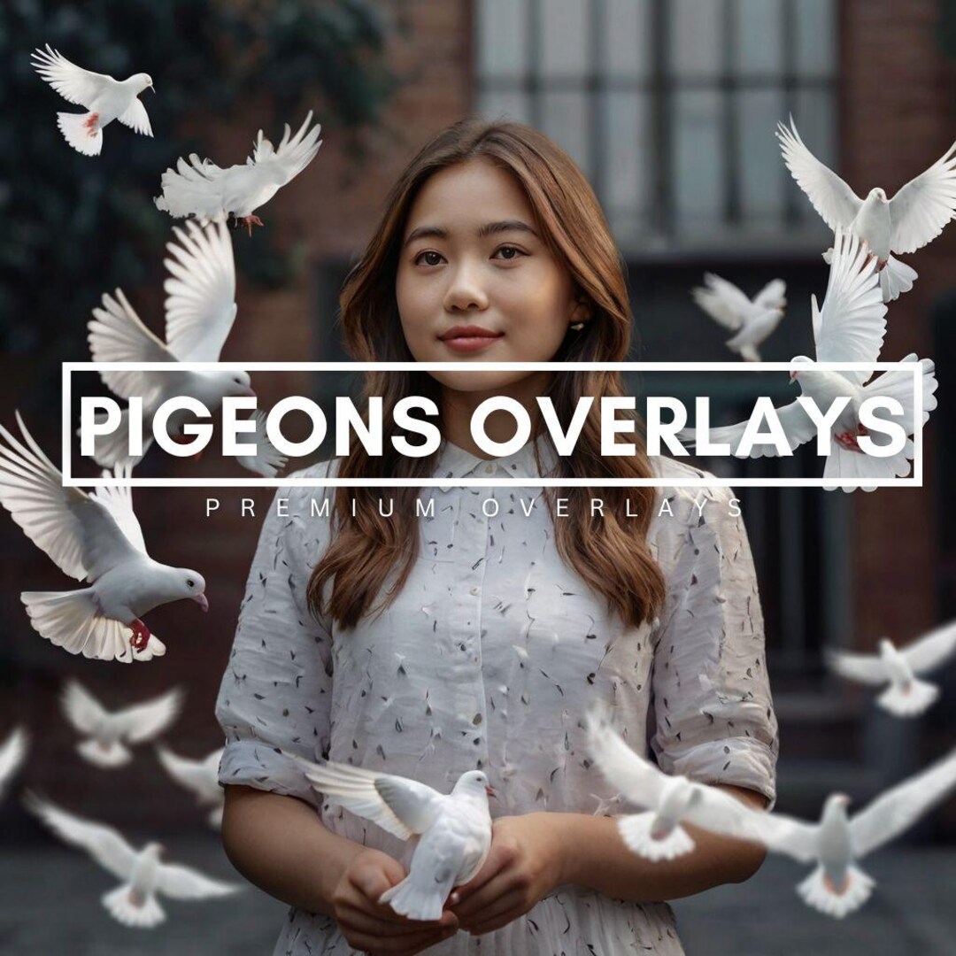 19 Pigeon Overlays PNG | Realistic Flying Bird Overlays for Photography ...