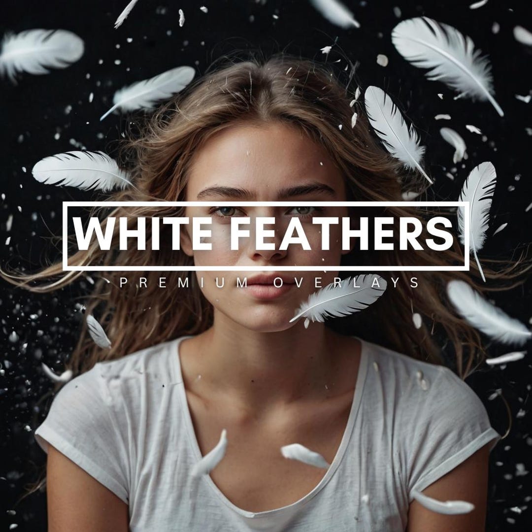 32 White Feather Overlays for Photography & Design | Realistic Feather ...