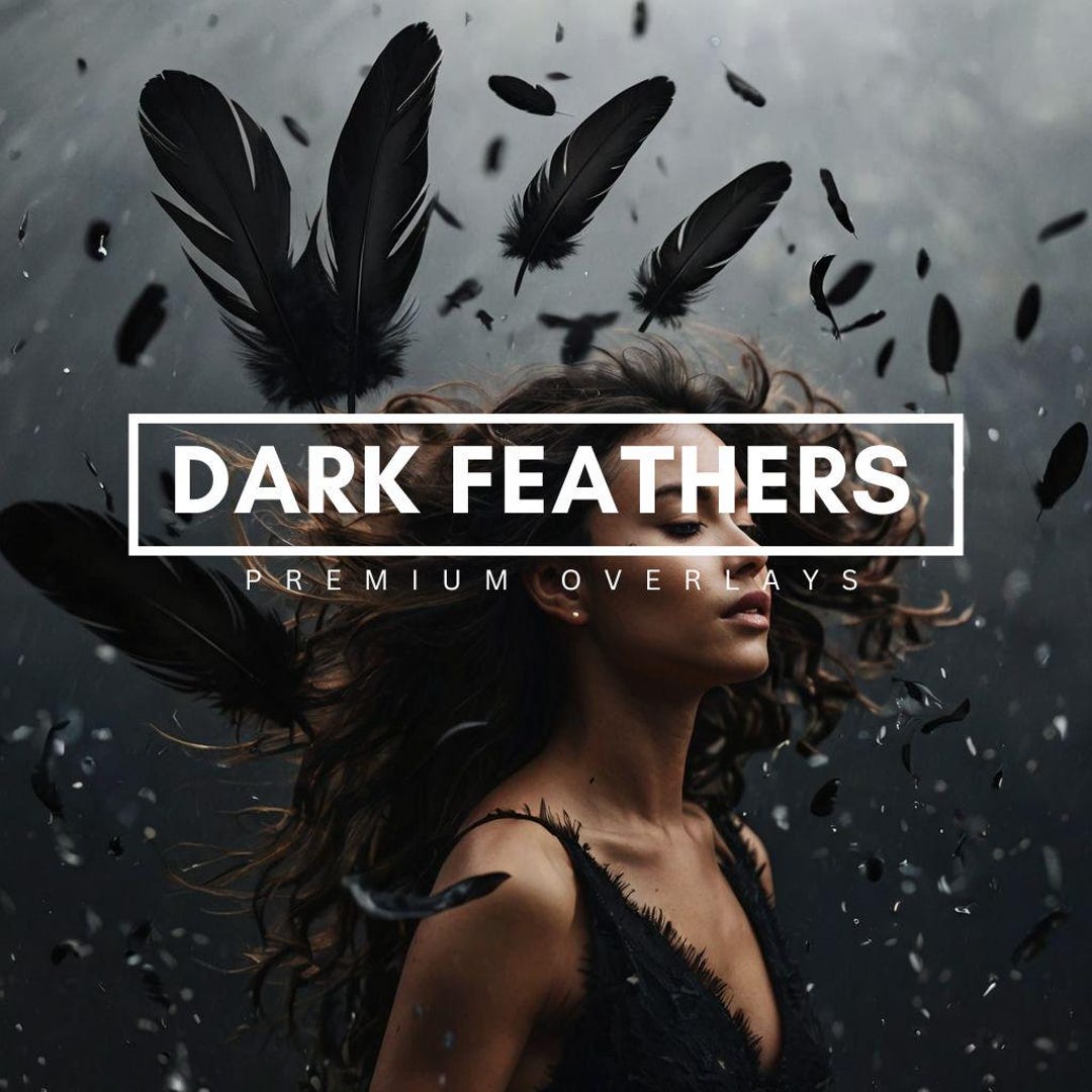 32 Dark Feather Overlays for Photography & Design | Realistic Feather ...
