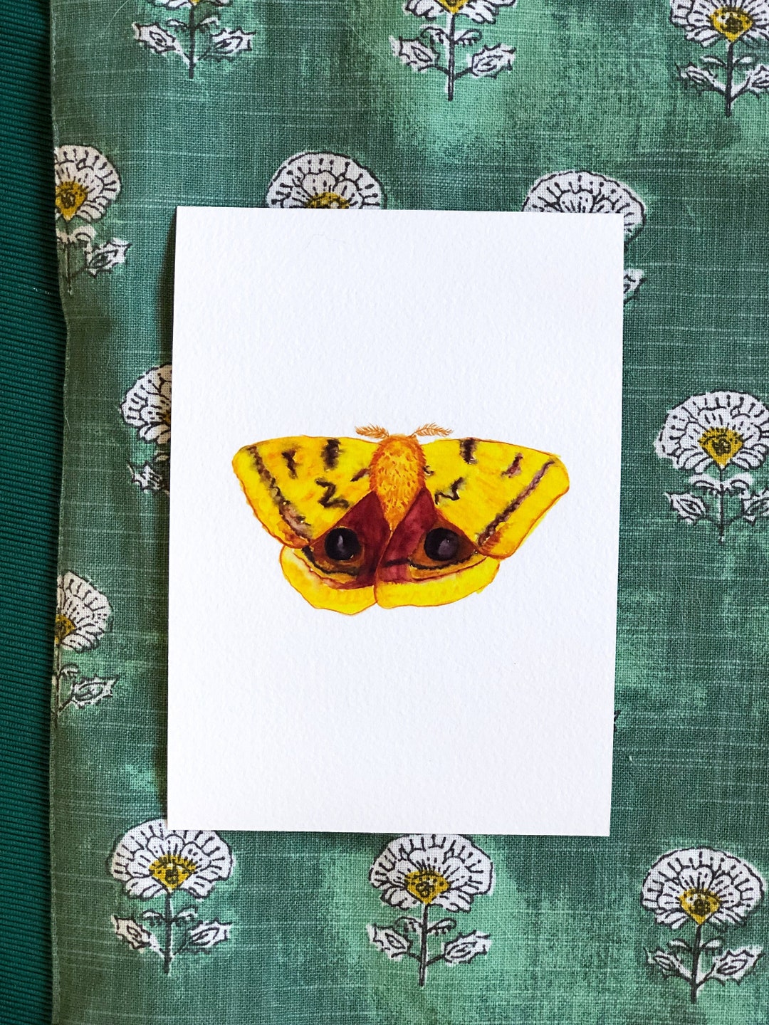 Lo Moth Watercolor Art Print, Moth Print, Botanical Wall Art, 5x7, 8x10 ...