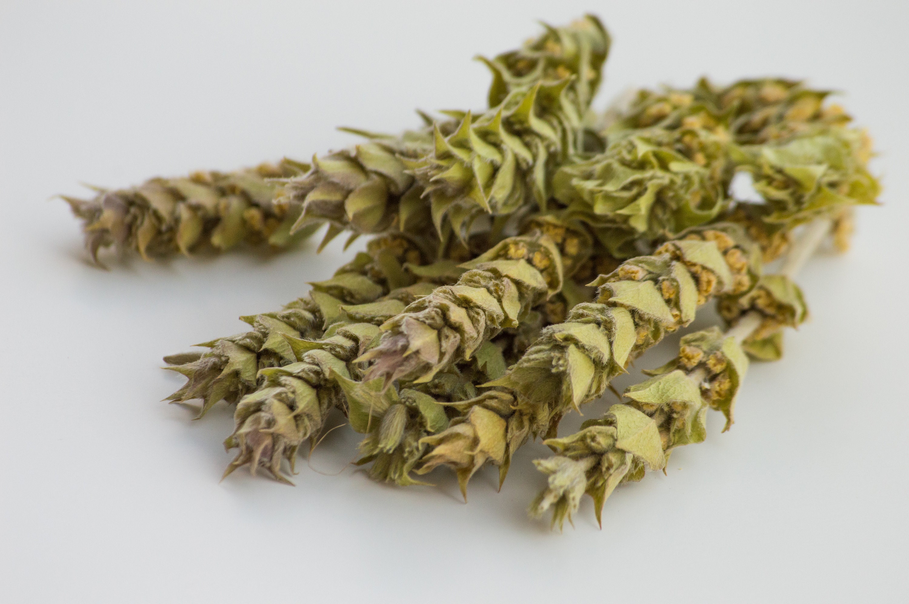 Bulgarian Mountain Tea Mursal Tea Herbal Tea Dried Herbs | Etsy