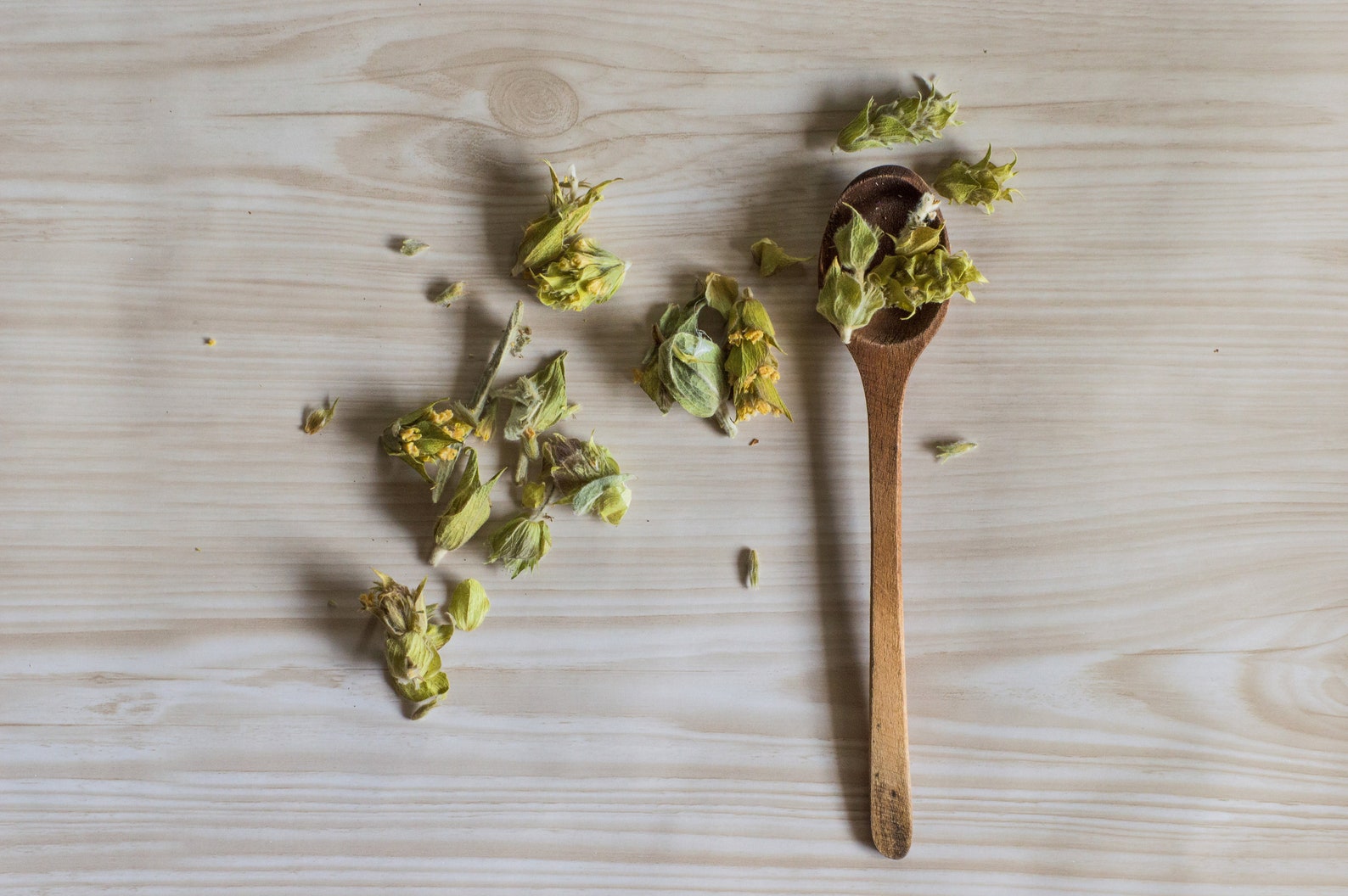 Bulgarian Mountain Tea Cut Mursal Tea Herbal Tea Dried | Etsy