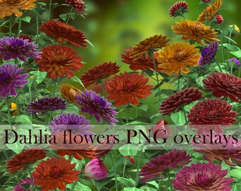 Gate PNG Overlays 3D Renders High Resolution 4000x4000 - Etsy