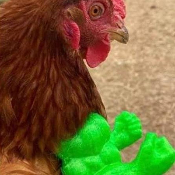Chicken Arms for Chickens - Etsy