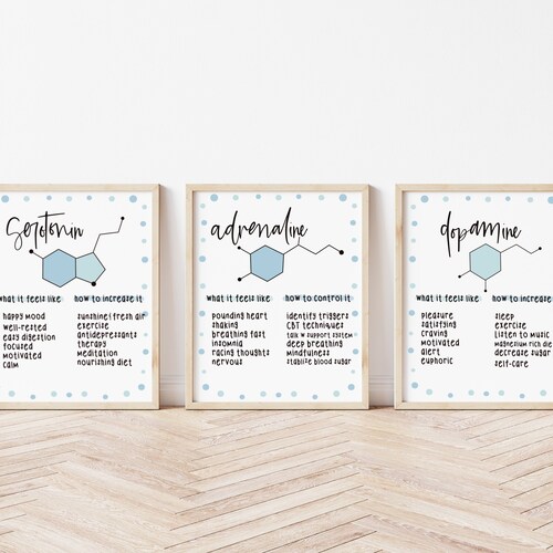 Serotonin . Mental Health Poster . Psychology . Therapy - Etsy