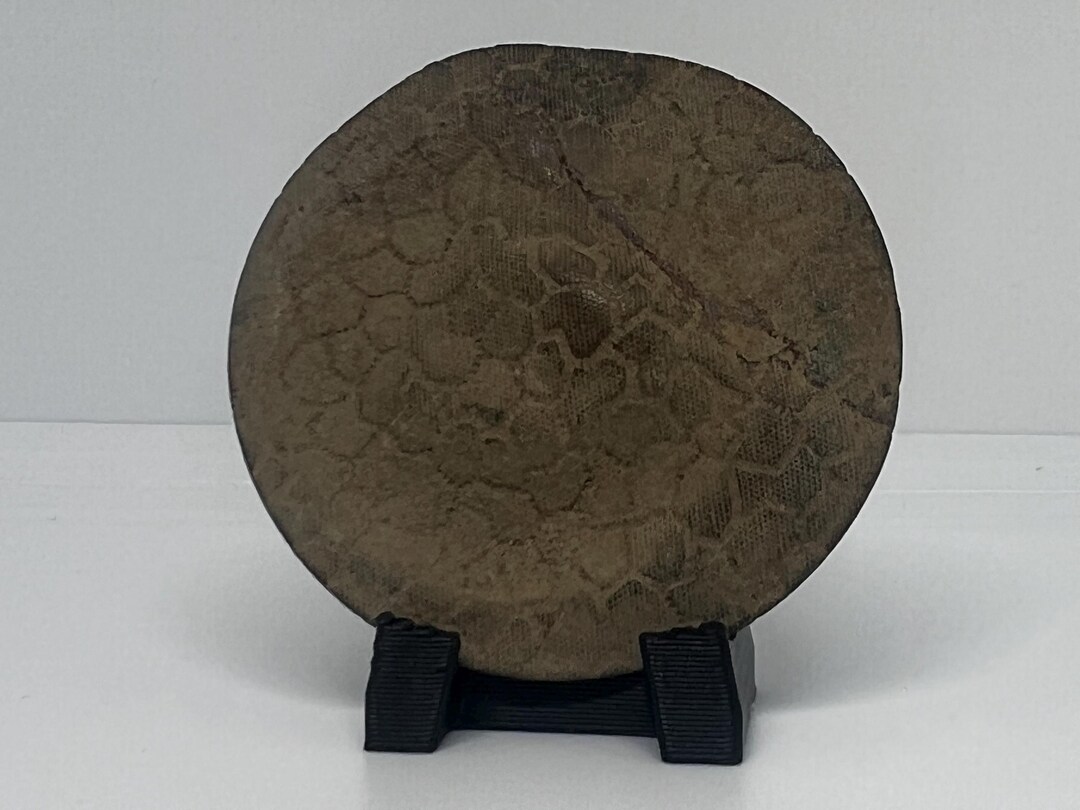 1700s Large Colonial Decorative Flat “dandy” Button - Early American ...