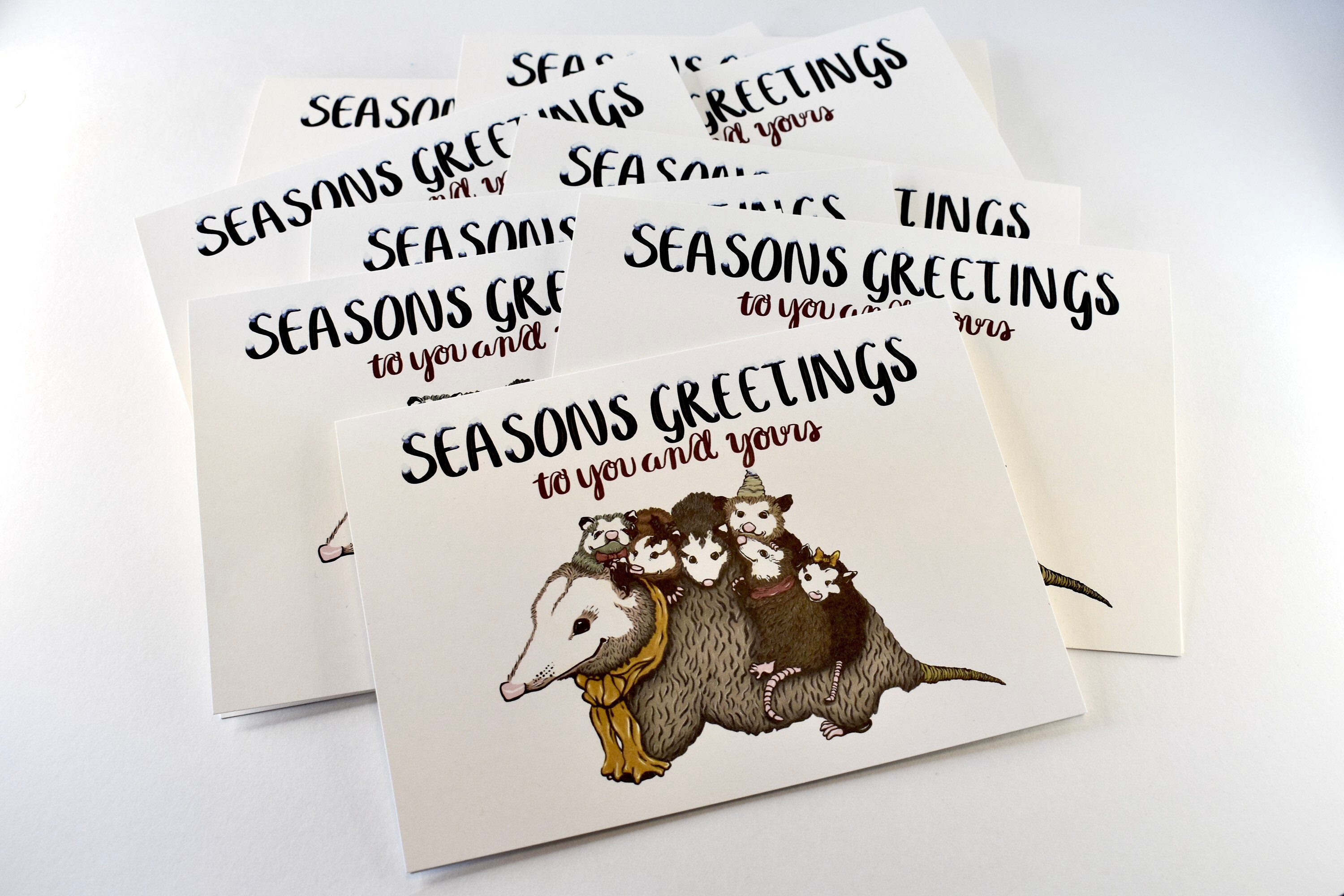 Cute Opossum Holiday Card Set | 10 Card Set With Envelopes | Animal ...
