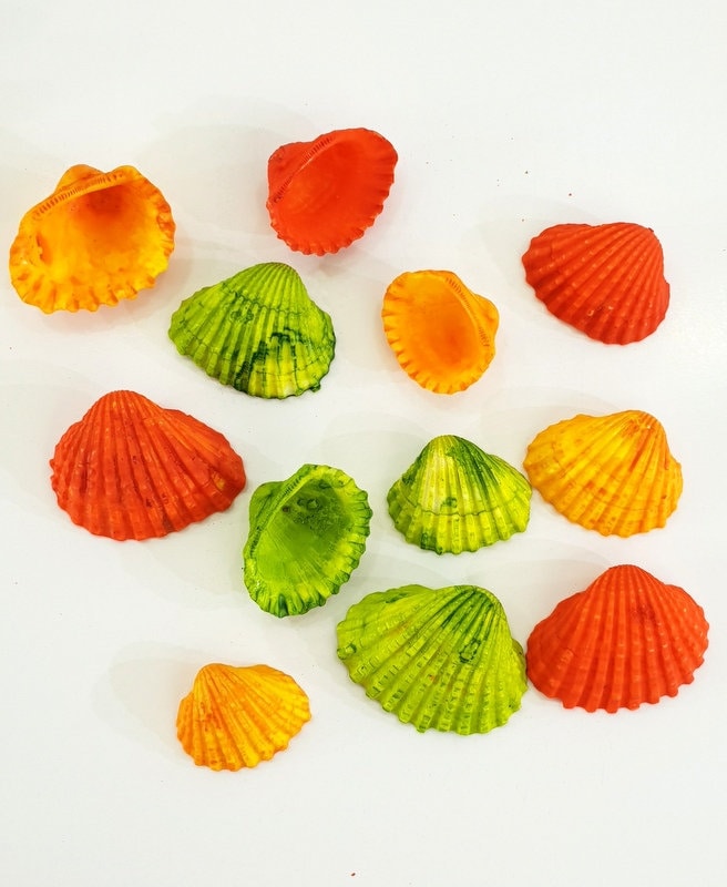 1.24 Euro/ per 100 G Shells Mix Colorful Craft Shells Colored 1200 G ...