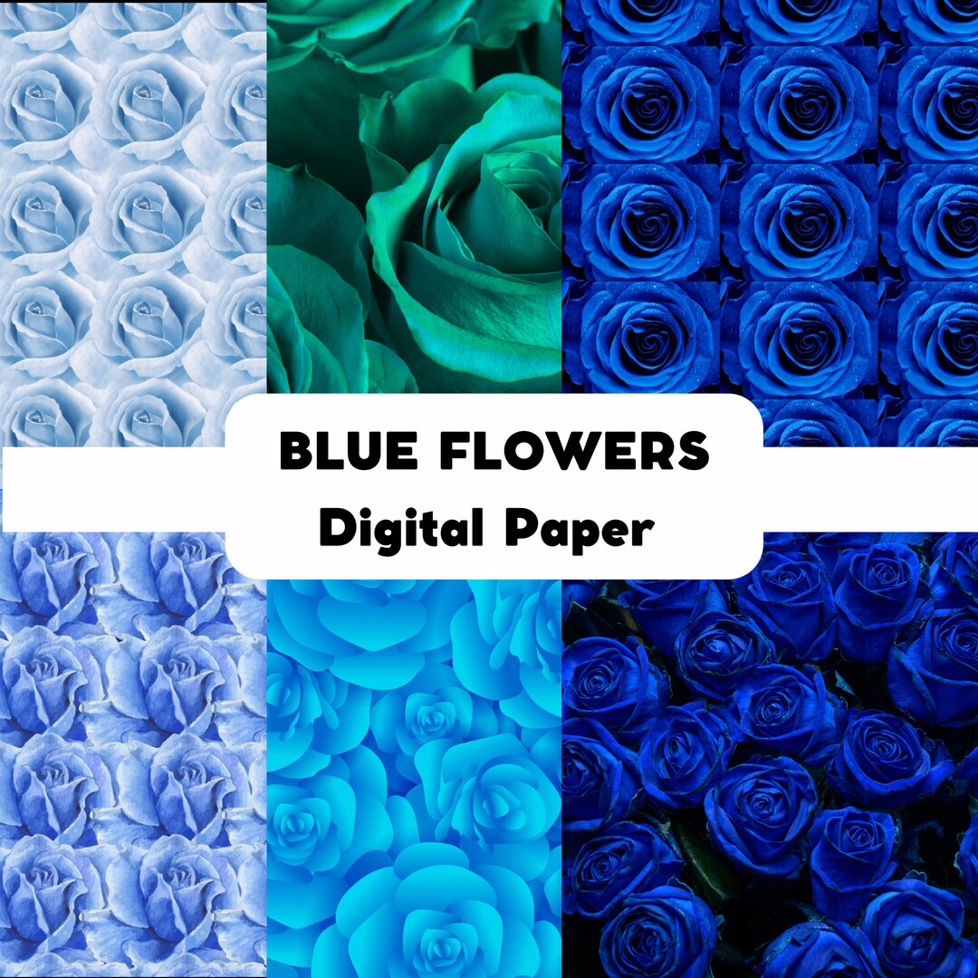 Blue Roses Background Digital Paper - Etsy