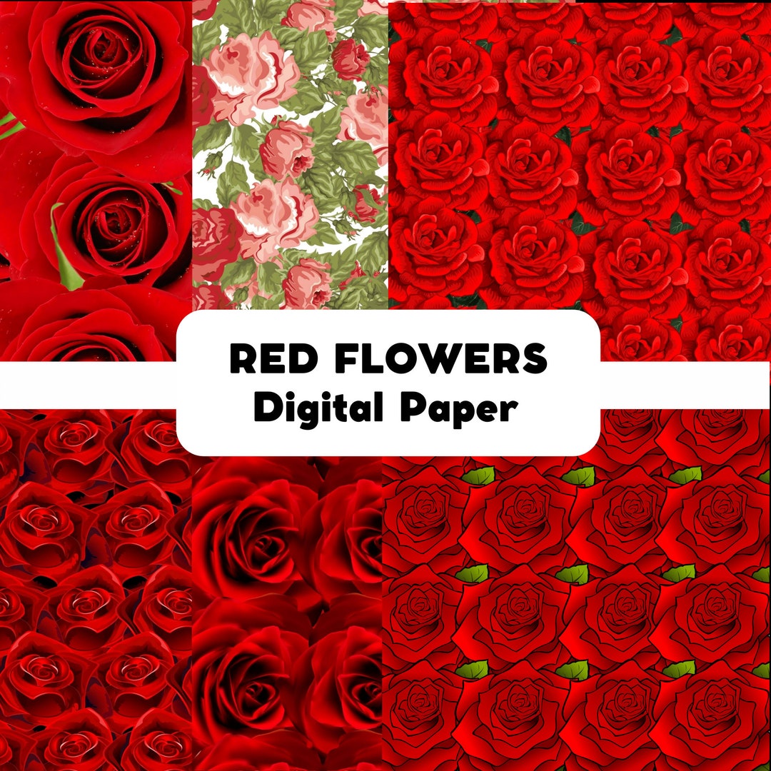 Red Roses Background Digital Paper - Etsy
