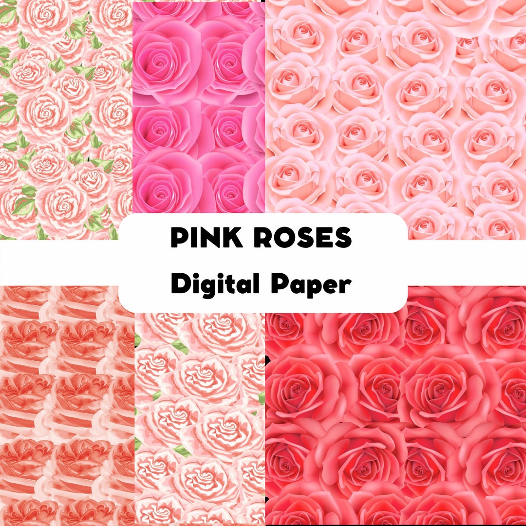 Pink Roses Digital Paper - Etsy