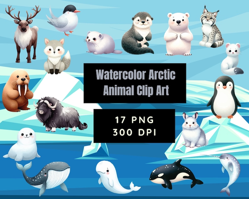 Watercolor Arctic Animal Clip Art (17 PNG Files) - Etsy