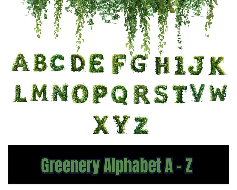 Greenery Alphabet A-Z (PNG Transparent) - Etsy