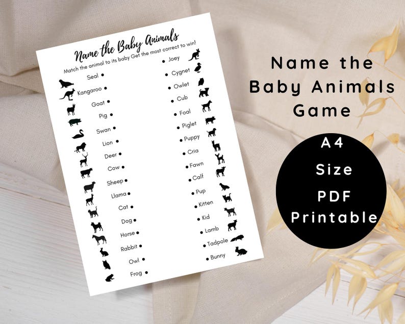 Name the Baby Animals Game (A4 Size Printable) - Etsy