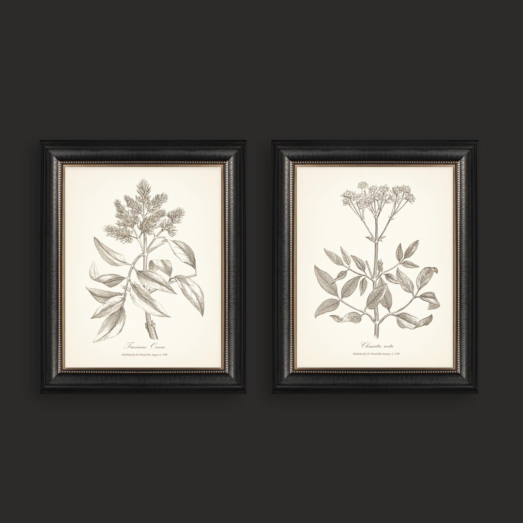 Vintage Style Botanical Prints Set of 2 Botanical Posters Wildflower ...